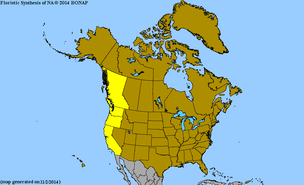 2013 BONAP North American Plant Atlas. TaxonMaps
