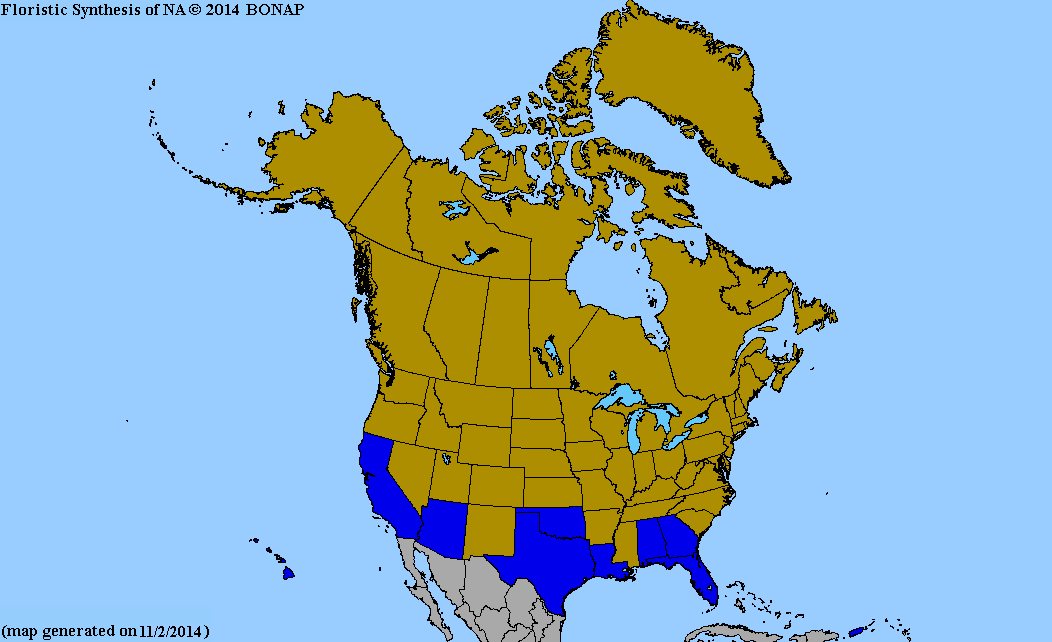 2013 BONAP North American Plant Atlas. TaxonMaps