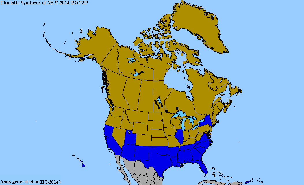 2013 BONAP North American Plant Atlas. TaxonMaps