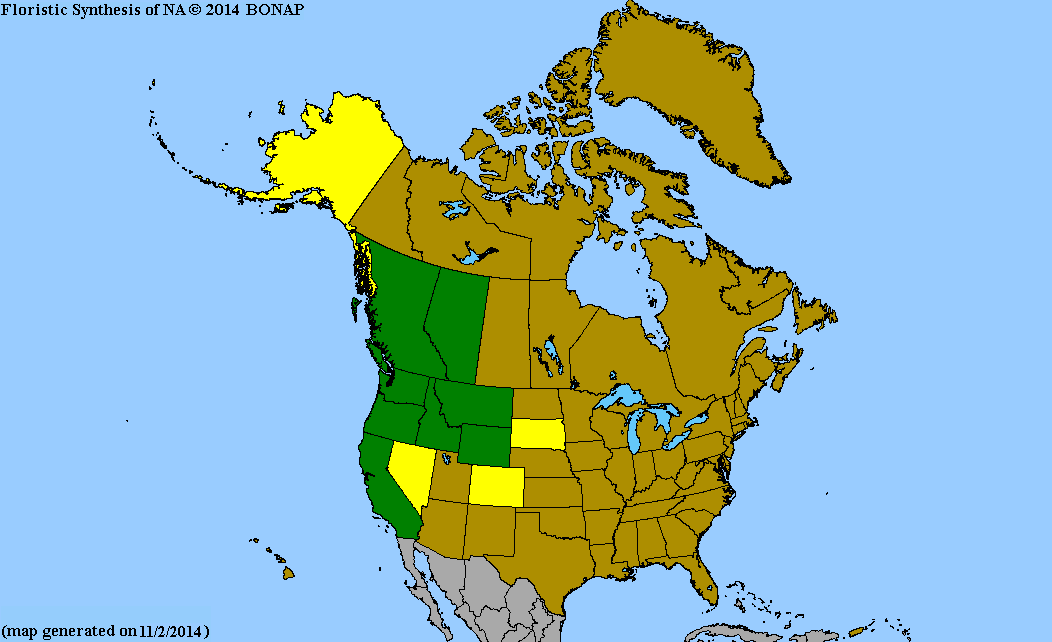 2013 BONAP North American Plant Atlas. TaxonMaps