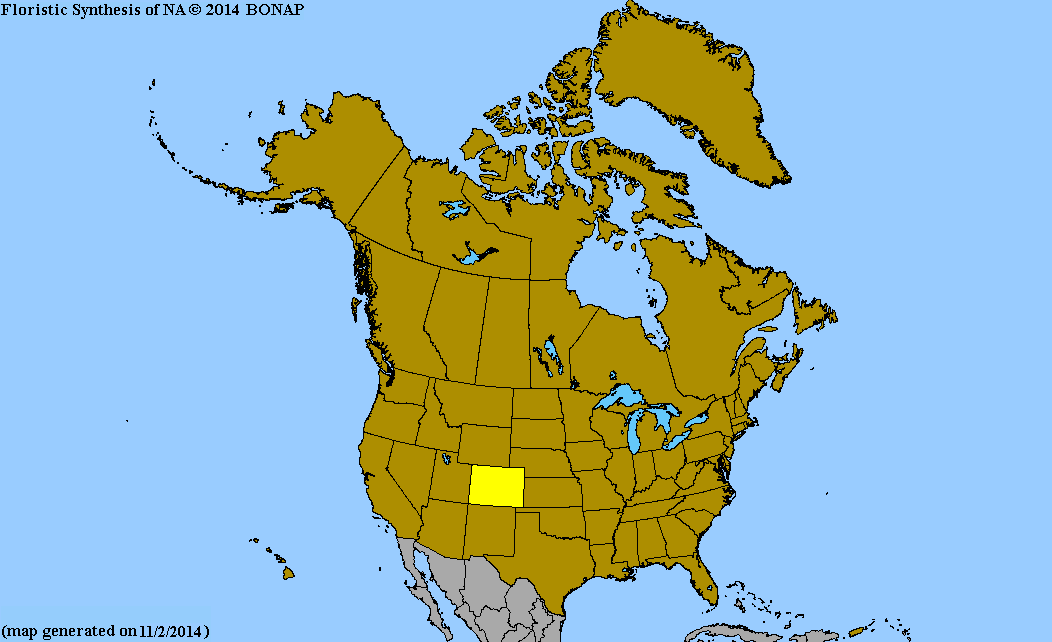 2013 BONAP North American Plant Atlas. TaxonMaps