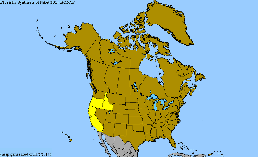2013 BONAP North American Plant Atlas. TaxonMaps