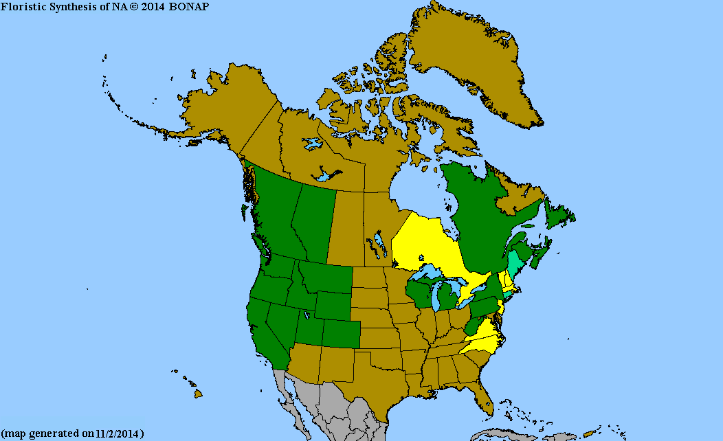 2013 BONAP North American Plant Atlas. TaxonMaps
