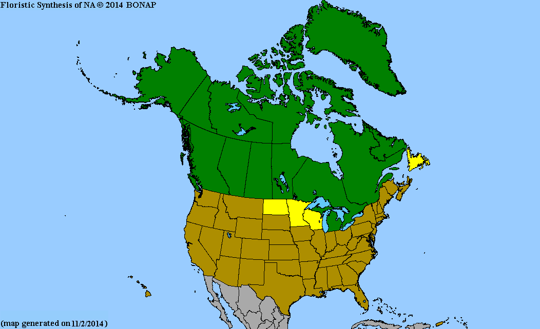 2013 BONAP North American Plant Atlas. TaxonMaps