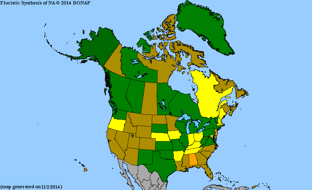 2013 BONAP North American Plant Atlas. TaxonMaps
