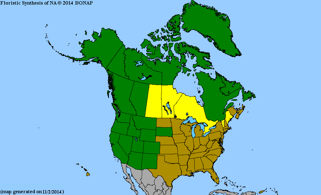 2013 BONAP North American Plant Atlas. TaxonMaps