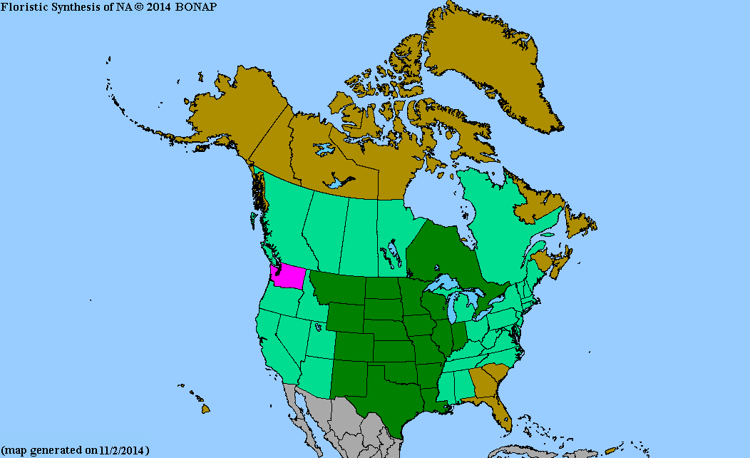 2013 BONAP North American Plant Atlas. TaxonMaps