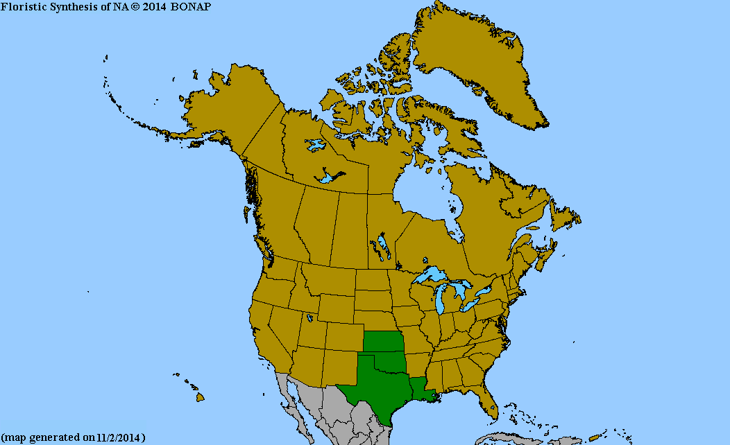 2013 BONAP North American Plant Atlas. TaxonMaps