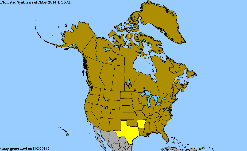 2013 BONAP North American Plant Atlas. TaxonMaps
