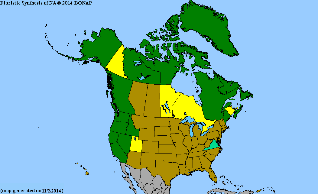 2013 BONAP North American Plant Atlas. TaxonMaps
