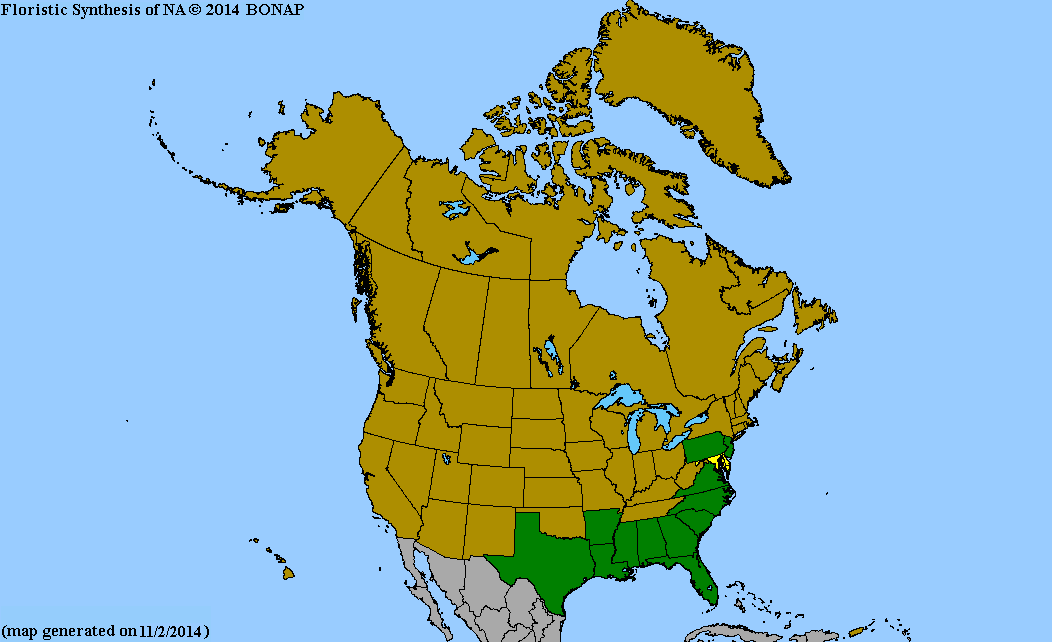 2013 BONAP North American Plant Atlas. TaxonMaps