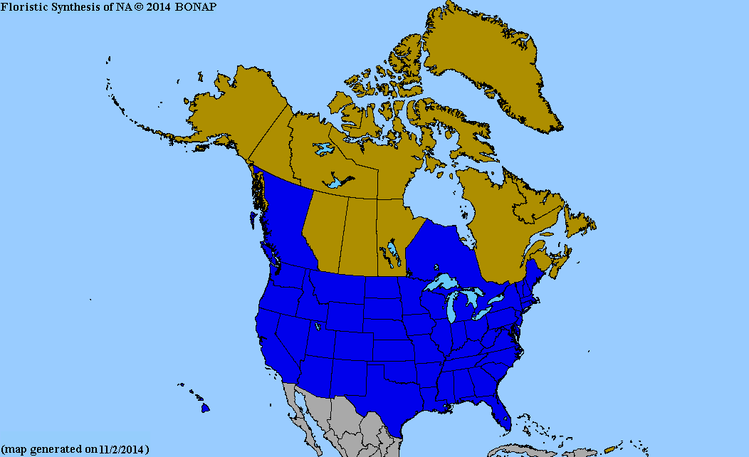 2013 BONAP North American Plant Atlas. TaxonMaps