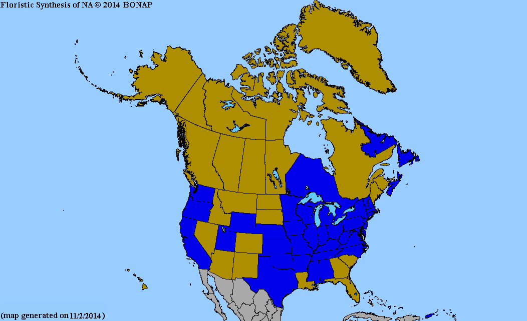 2013 BONAP North American Plant Atlas. TaxonMaps