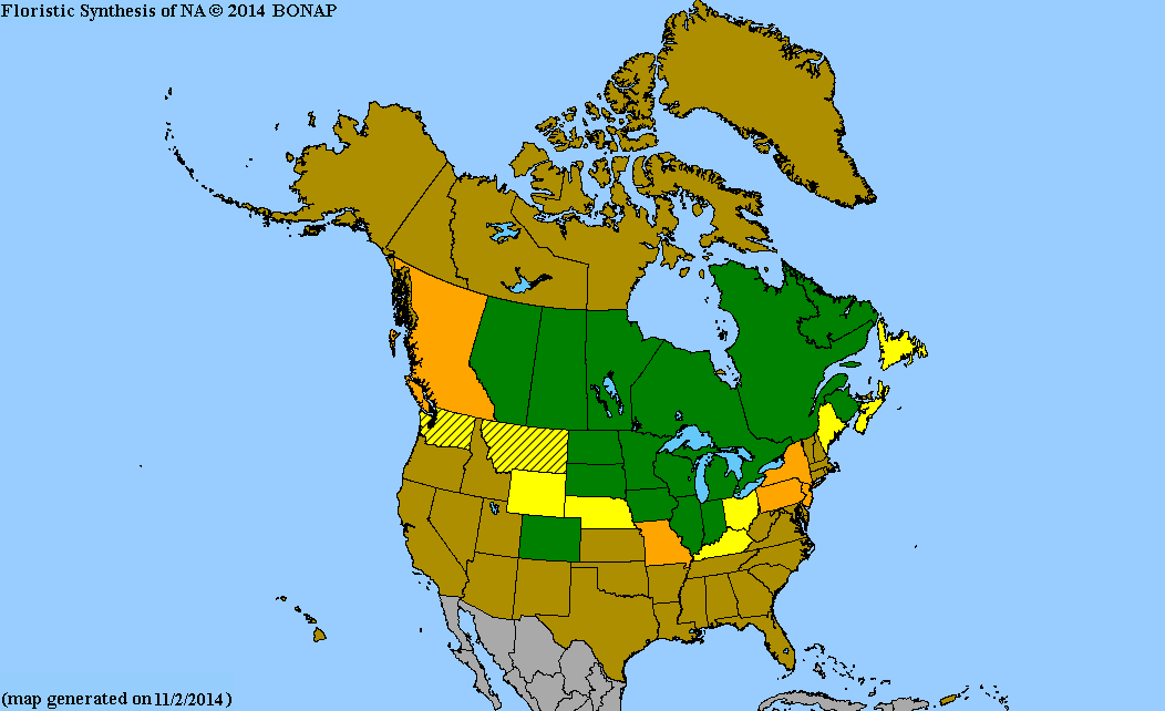 2013 BONAP North American Plant Atlas. TaxonMaps