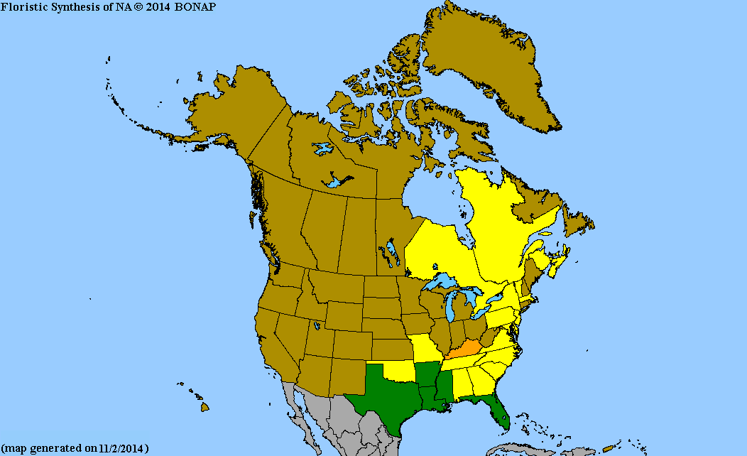 2013 BONAP North American Plant Atlas. TaxonMaps