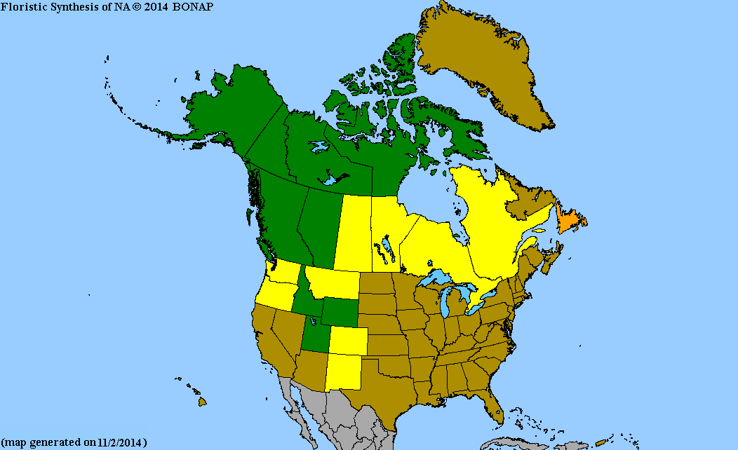 2013 BONAP North American Plant Atlas. TaxonMaps