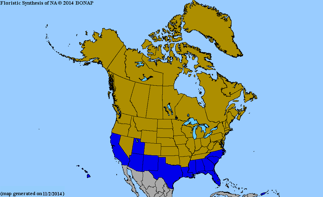 2013 BONAP North American Plant Atlas. TaxonMaps