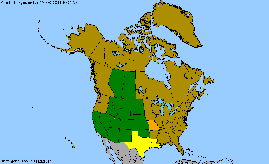 2013 BONAP North American Plant Atlas. TaxonMaps