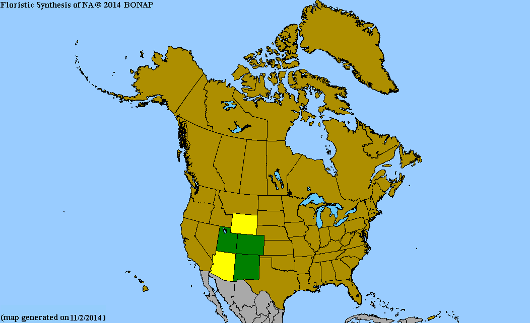 2013 BONAP North American Plant Atlas. TaxonMaps