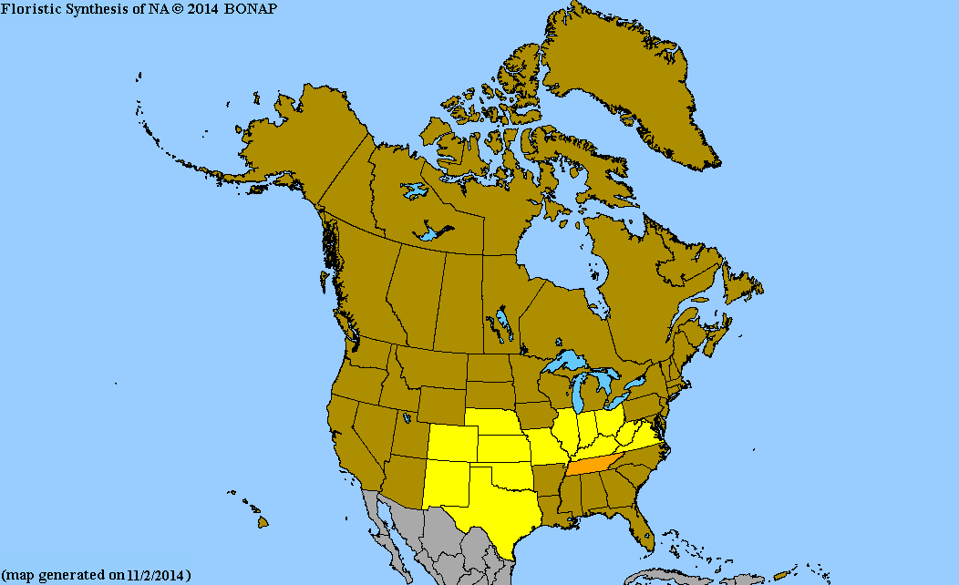 2013 BONAP North American Plant Atlas. TaxonMaps