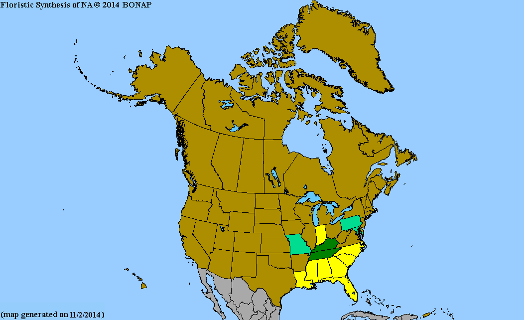 2013 BONAP North American Plant Atlas. TaxonMaps