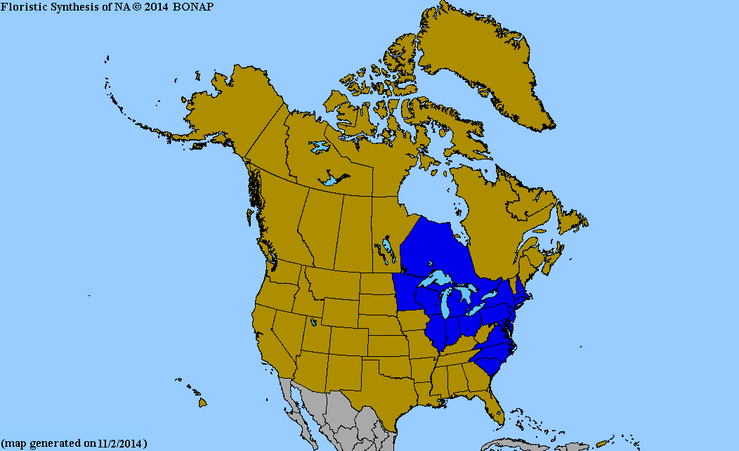 2013 BONAP North American Plant Atlas. TaxonMaps