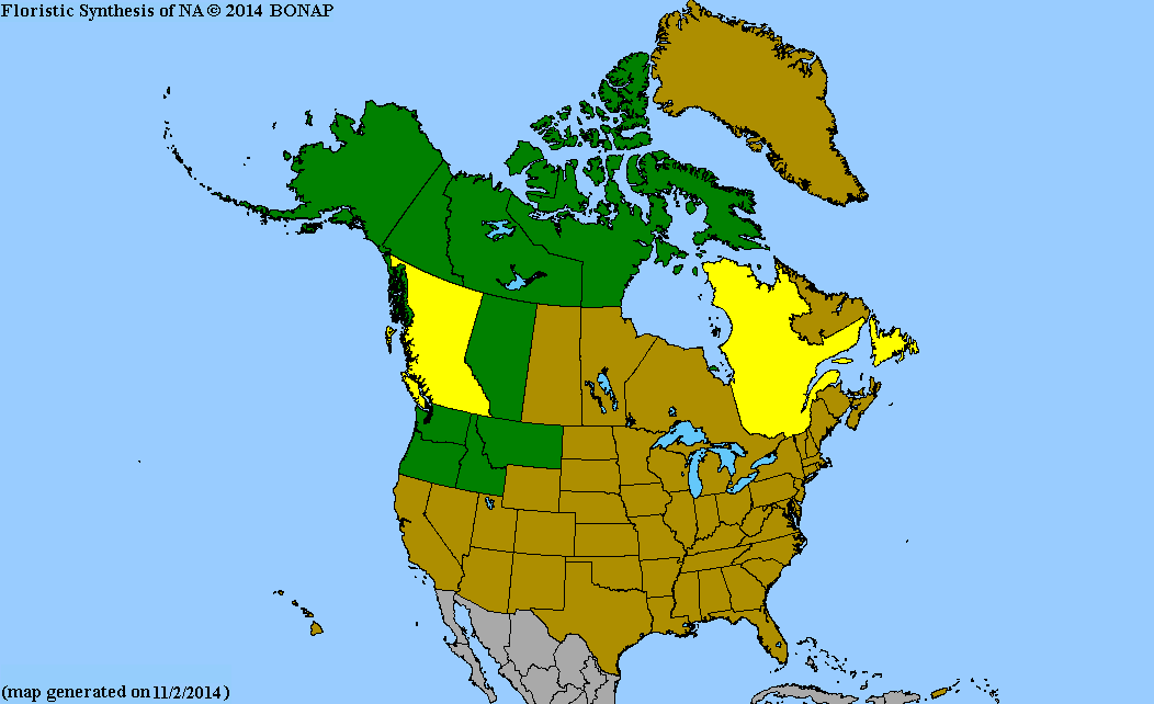 2013 BONAP North American Plant Atlas. TaxonMaps