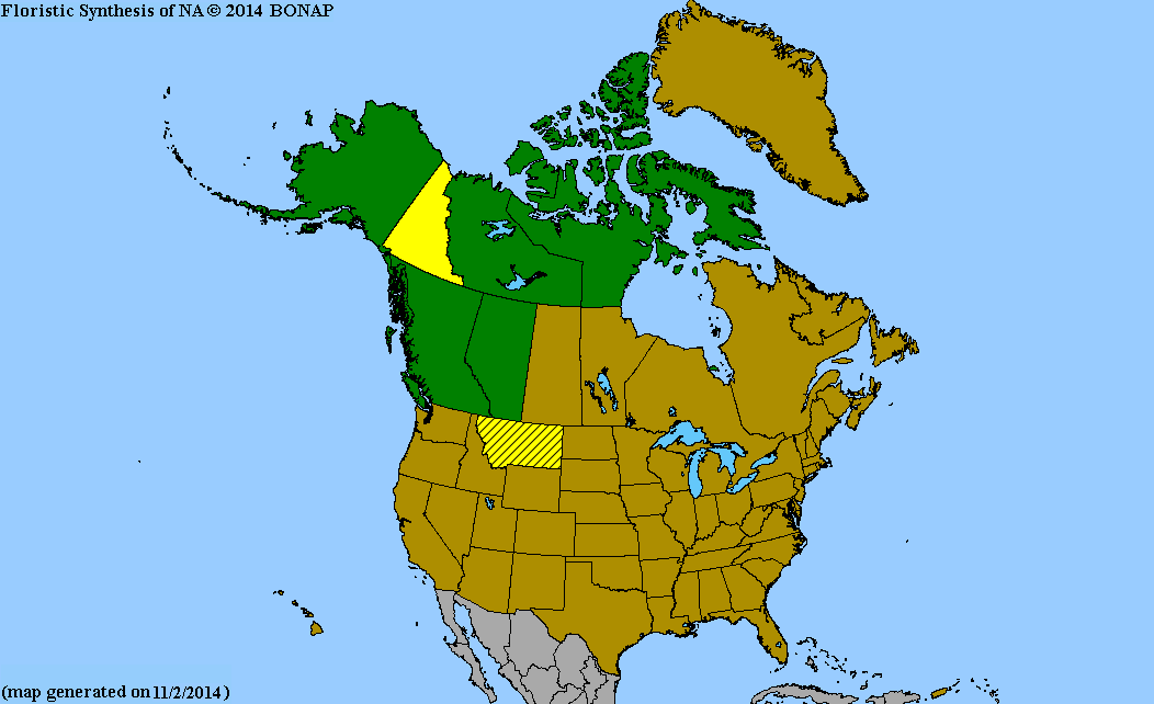 2013 BONAP North American Plant Atlas. TaxonMaps