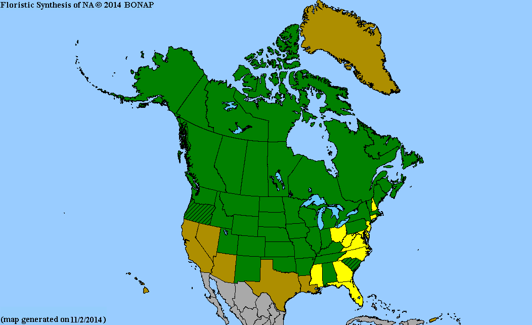 2013 BONAP North American Plant Atlas. TaxonMaps