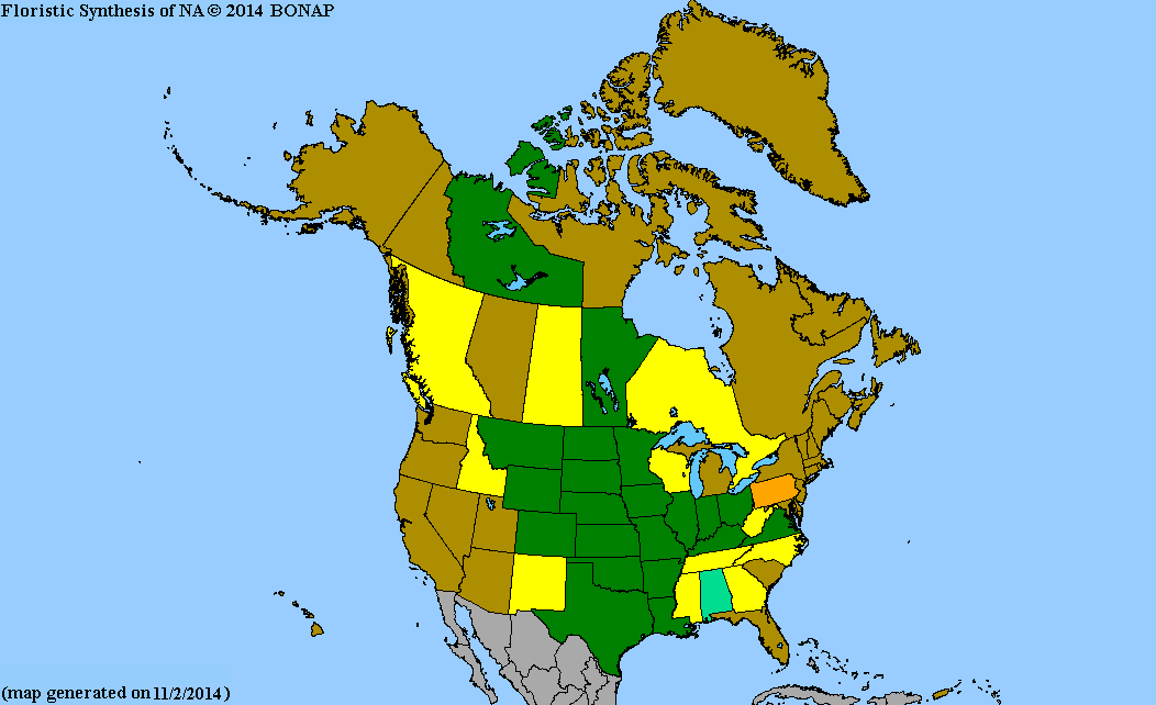 2013 BONAP North American Plant Atlas. TaxonMaps