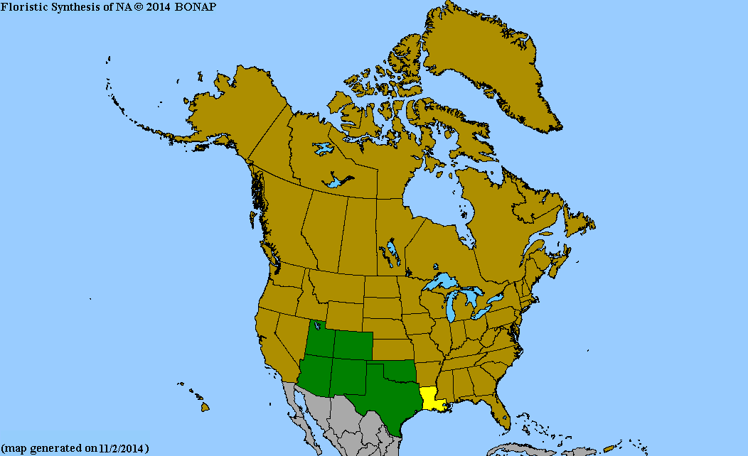 2013 BONAP North American Plant Atlas. TaxonMaps