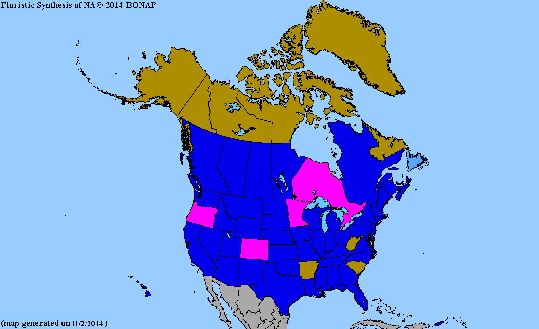 2013 BONAP North American Plant Atlas. TaxonMaps