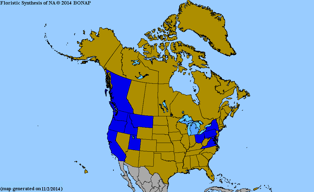 2013 BONAP North American Plant Atlas. TaxonMaps