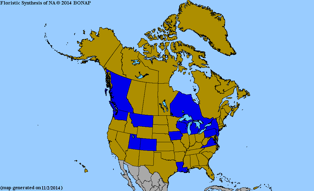 2013 BONAP North American Plant Atlas. TaxonMaps