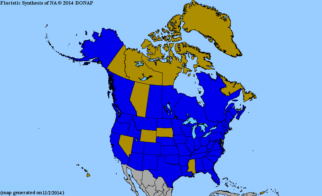 2013 BONAP North American Plant Atlas. TaxonMaps
