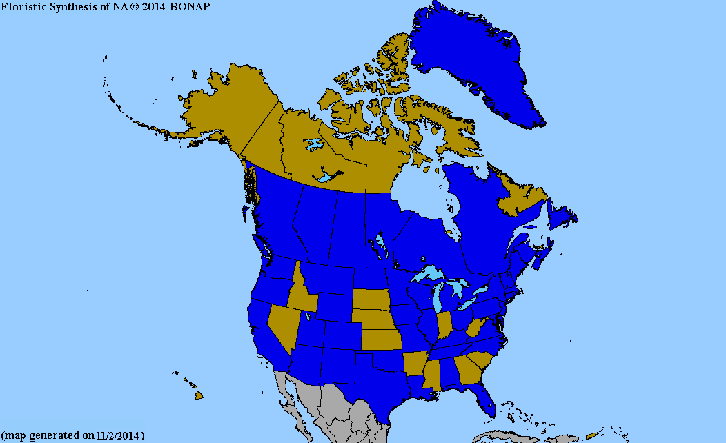 2013 BONAP North American Plant Atlas. TaxonMaps