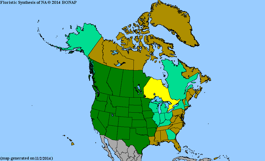 2013 BONAP North American Plant Atlas. TaxonMaps
