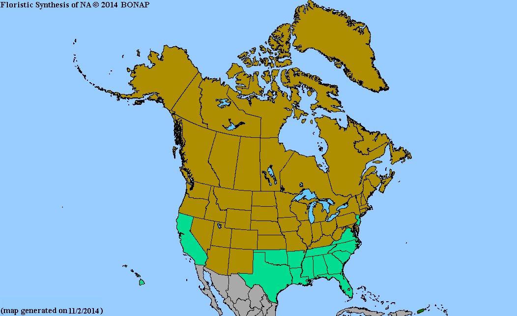 2013 BONAP North American Plant Atlas. TaxonMaps