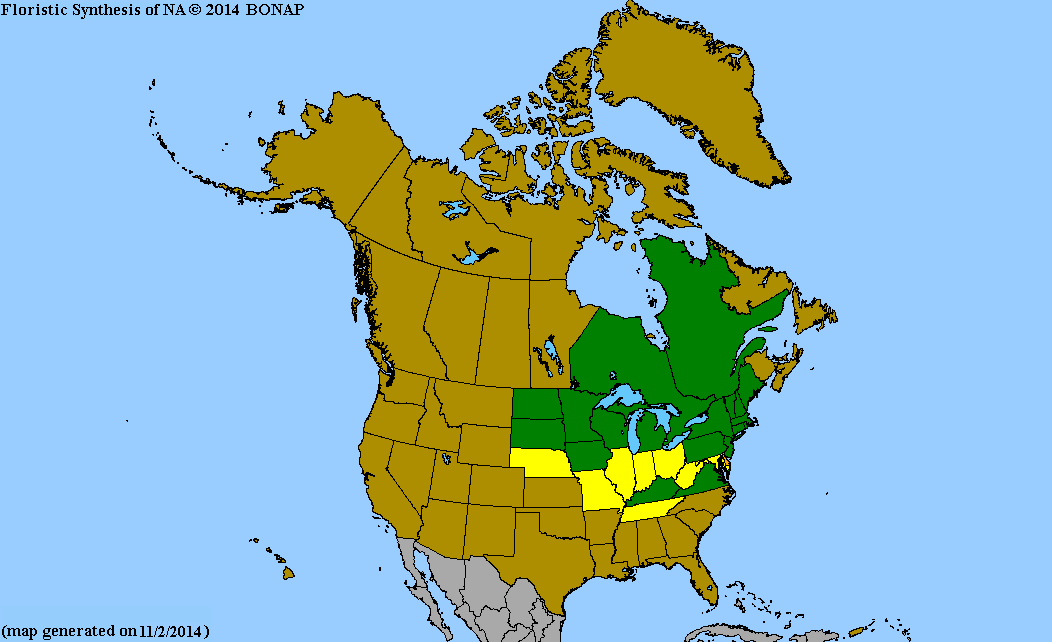 2013 BONAP North American Plant Atlas. TaxonMaps