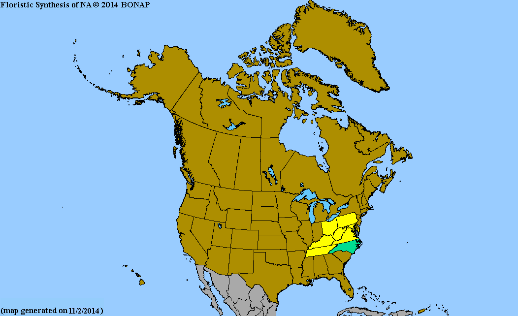 2013 BONAP North American Plant Atlas. TaxonMaps