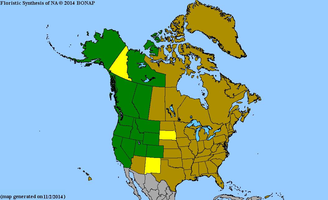 2013 BONAP North American Plant Atlas. TaxonMaps