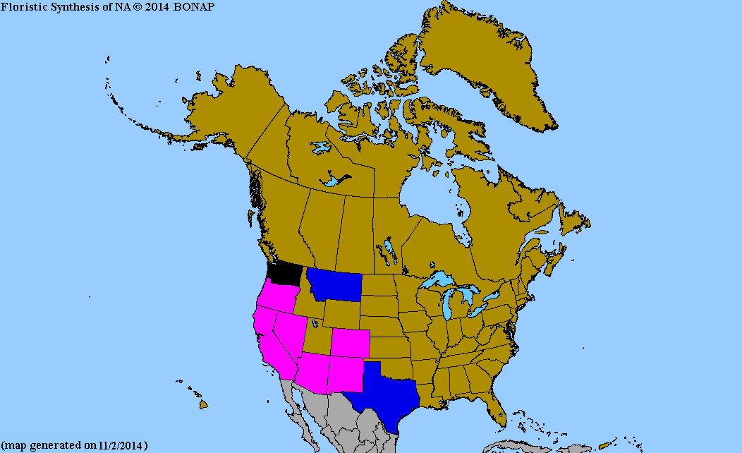 2013 BONAP North American Plant Atlas. TaxonMaps