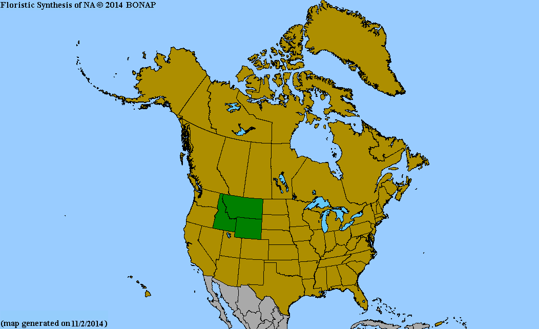 2013 BONAP North American Plant Atlas. TaxonMaps