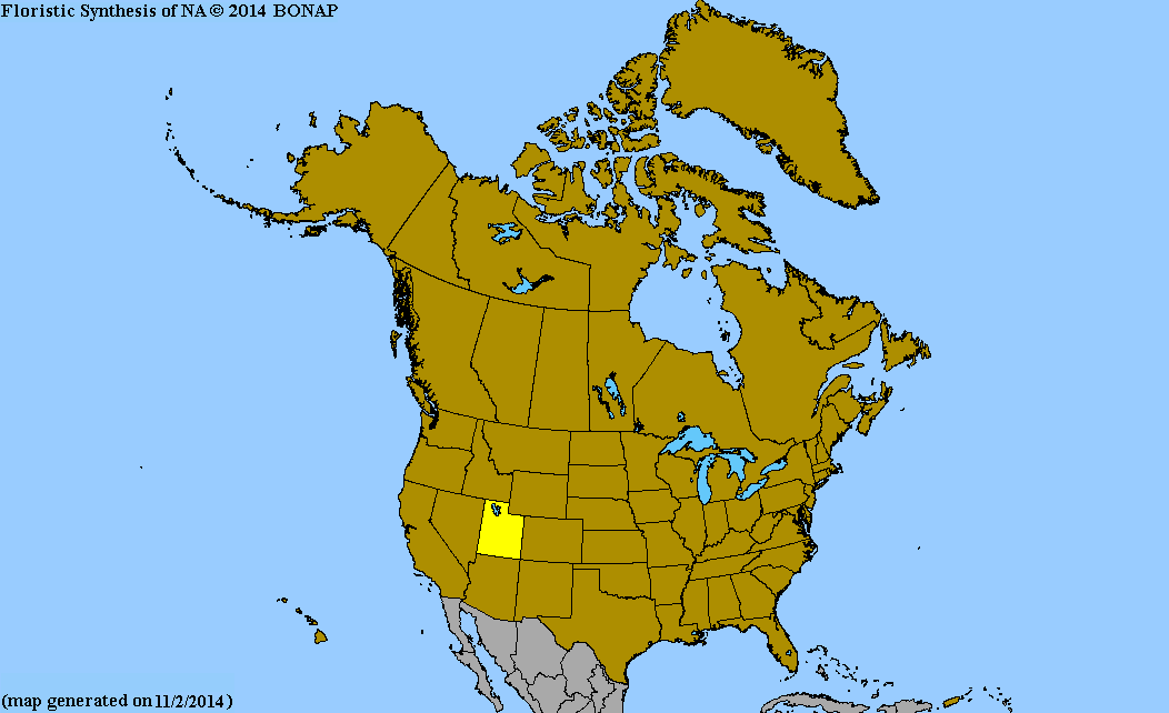 2013 BONAP North American Plant Atlas. TaxonMaps
