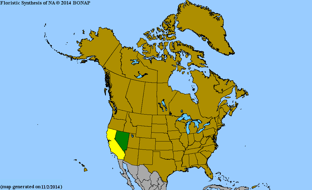 2013 BONAP North American Plant Atlas. TaxonMaps