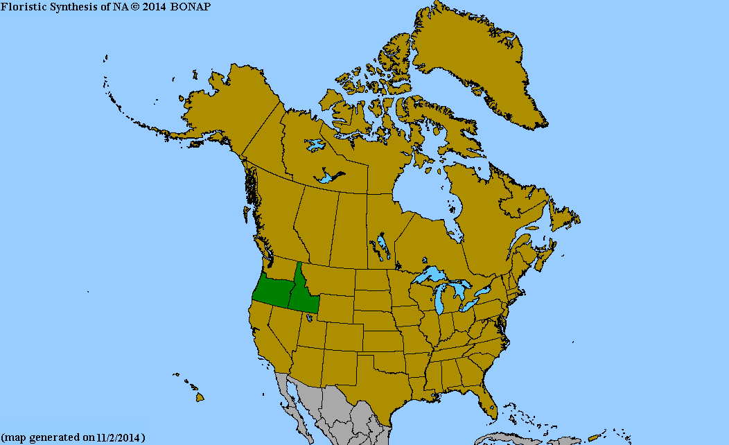 2013 BONAP North American Plant Atlas. TaxonMaps