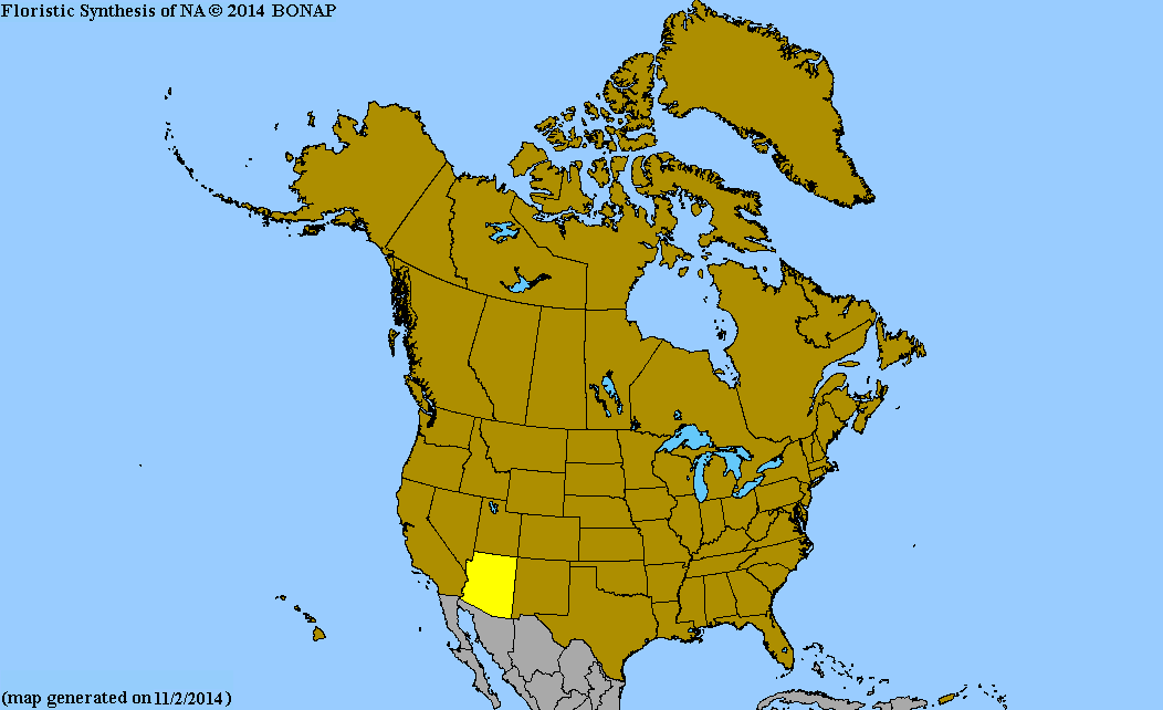 2013 BONAP North American Plant Atlas. TaxonMaps