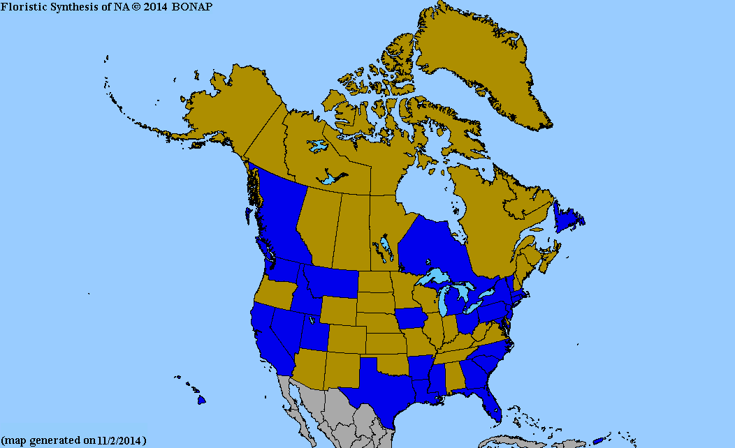 2013 BONAP North American Plant Atlas. TaxonMaps