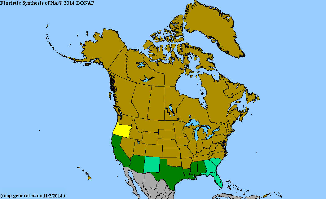 2013 BONAP North American Plant Atlas. TaxonMaps