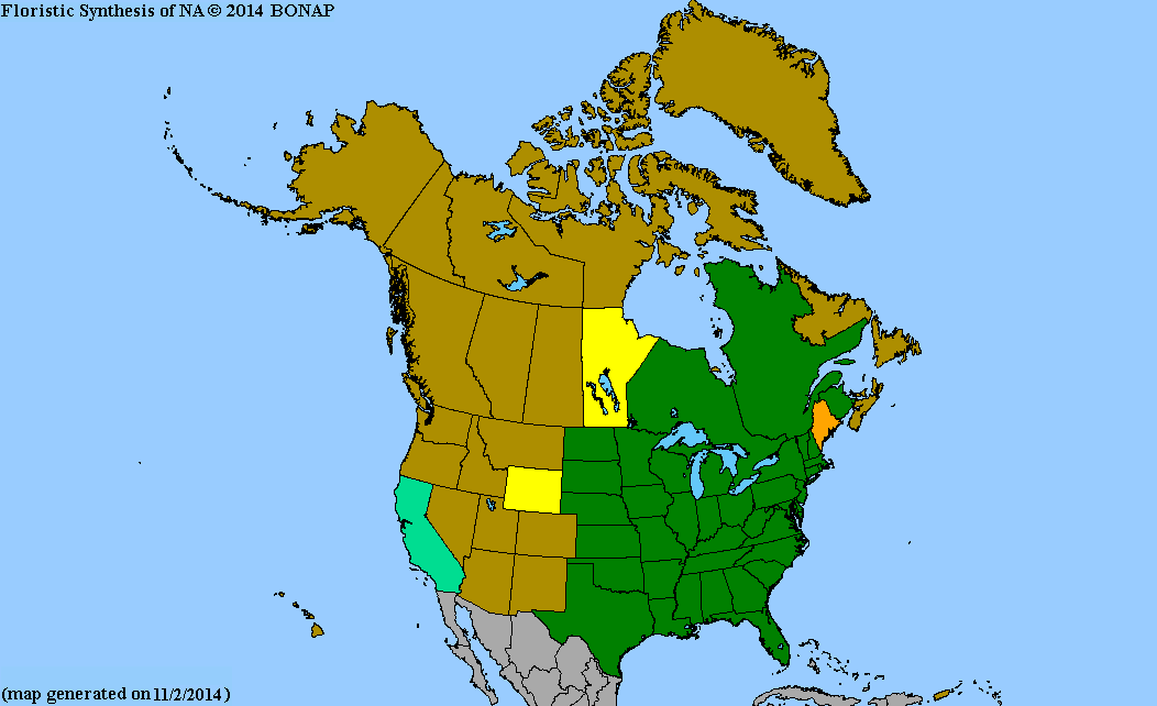 2013 BONAP North American Plant Atlas. TaxonMaps
